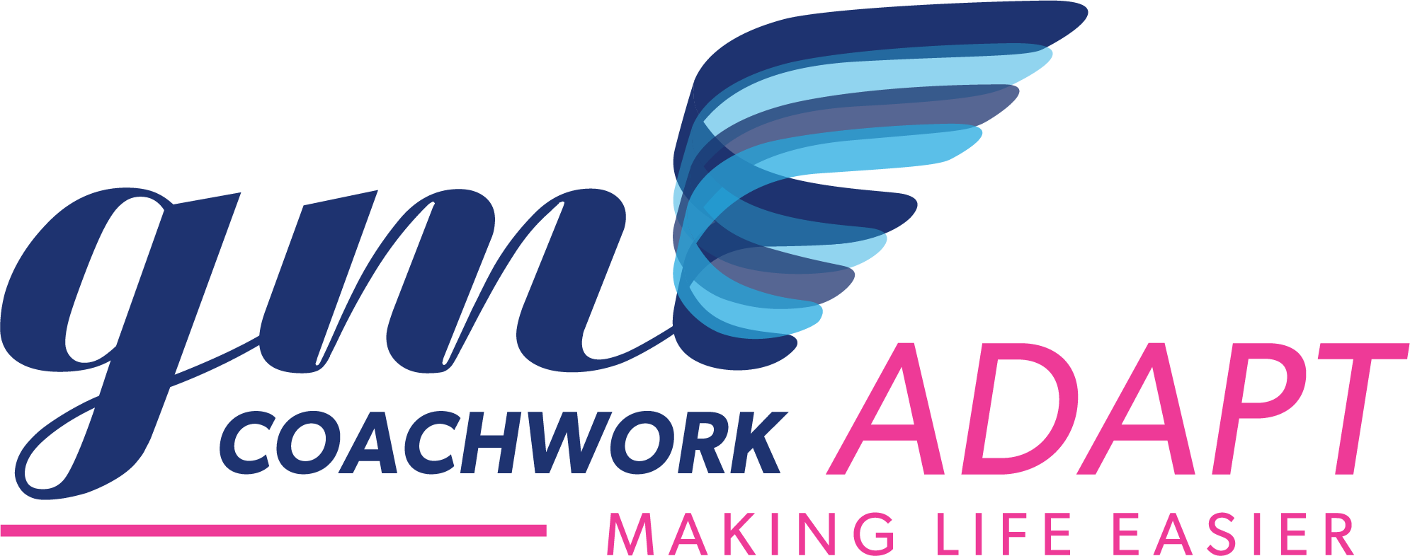 Vehicle Lifts | Vehicle Modifications